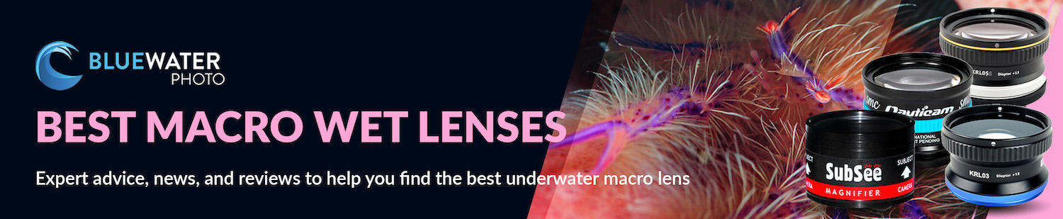 Best Underwater Macro Lens