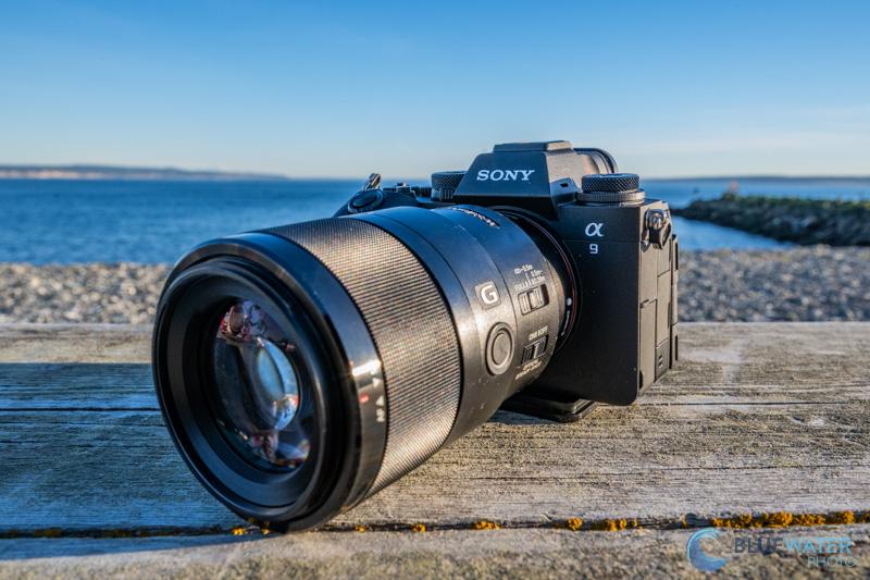 Sony A9 III Underwater Settings - Bluewater Photo